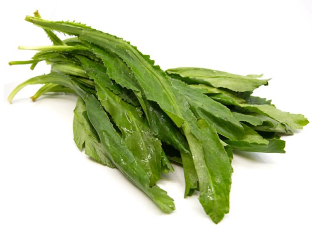 Recao - A Flavorful Twist to Your Culinary Creations – Sofrito Y Coquito